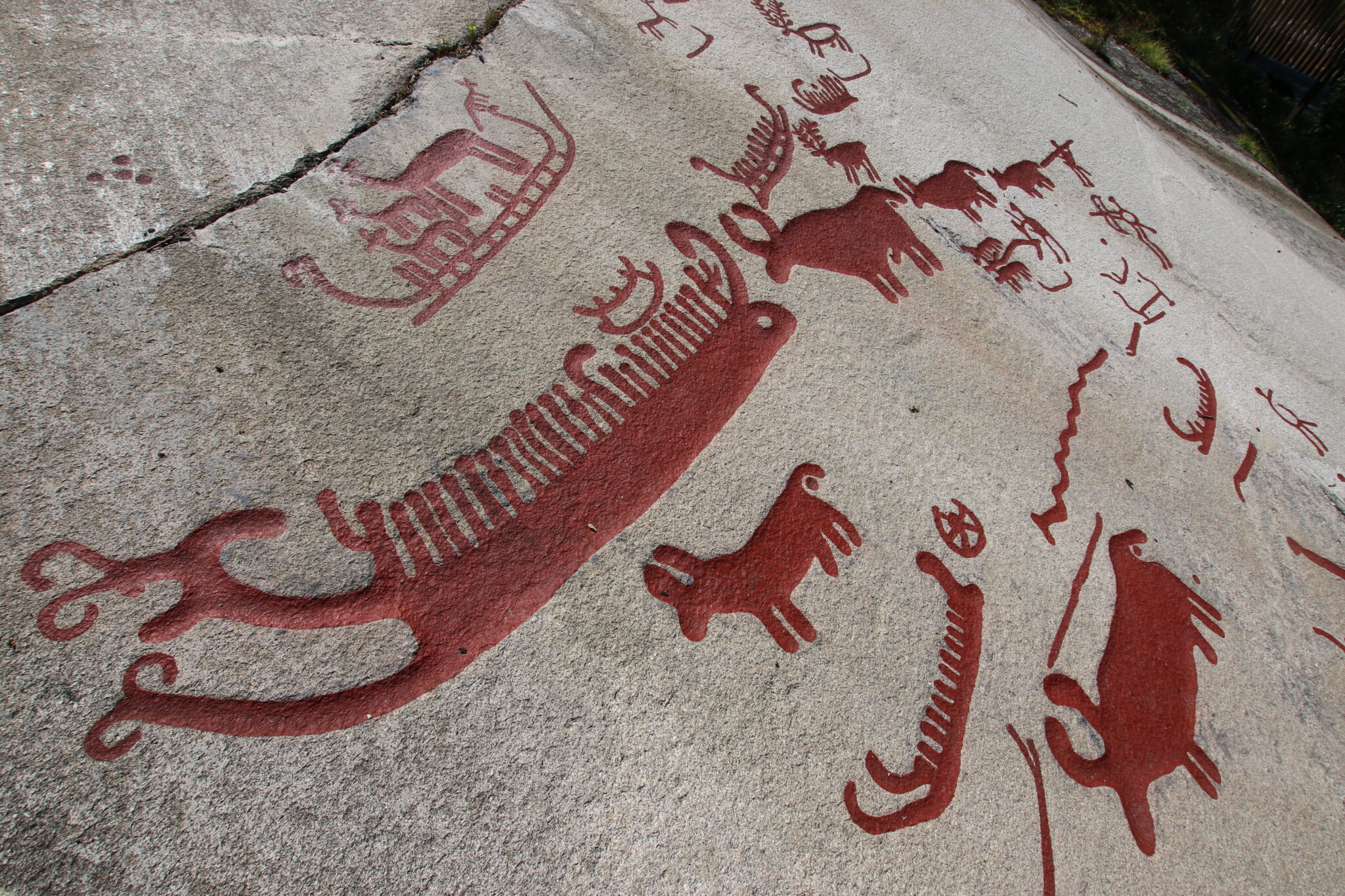 The rock carvings at Aspeberget - Världsarvet Tanums hällristningar